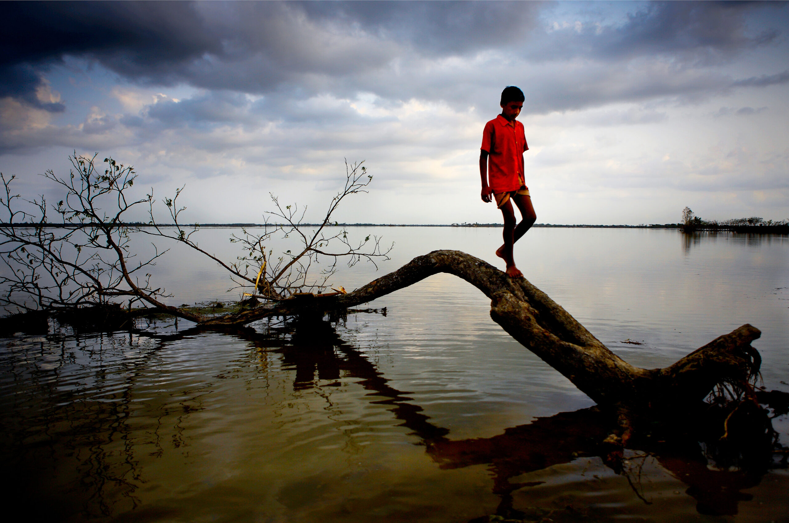 Webinar: Disability-inclusive disaster response in Bangladesh - Niketan